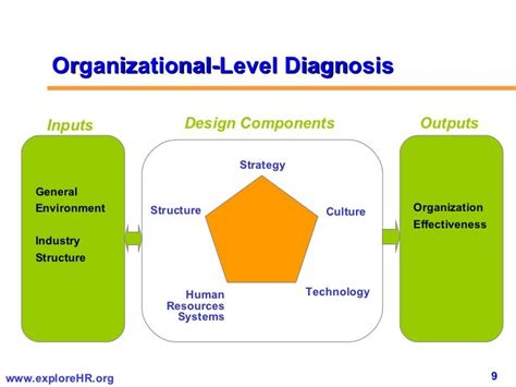 Diagnosing Organizational Effectiveness