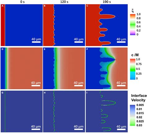 Figure 5 From Protocol For Phase Field Simulations Of Lithium Dendrite Growth With Moose
