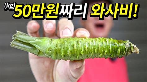 일본 1위 와사비는 맛이 다를까 국산 와사비와 비교해보니 Youtube