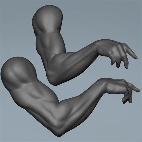 Male Arm Sculpts Alexandra Boshevska Arms Down Pose Arm References