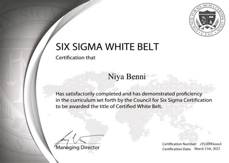 Niya Benni On Linkedin Successfully Obtained Cssc Certified Six Sigma