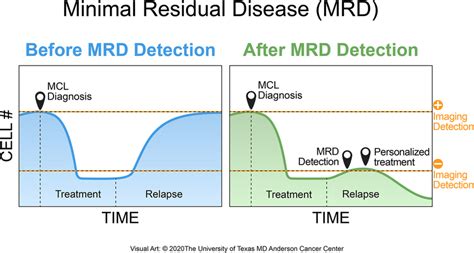 General Overview Of Minimal Residual Disease Detection The Figure