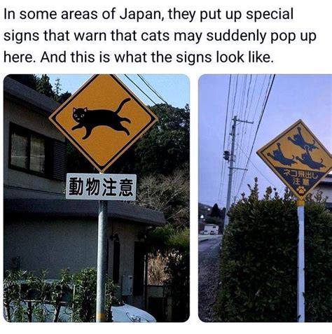 Slip Into Ruby An Introductory Guide To Rgss For Beginners Rpg Maker Forums