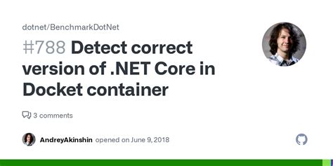 Detect Correct Version Of NET Core In Docket Container Issue 788