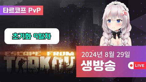 무엇이든 물어봐요 타르코프 뉴비 선생님 유우양 9일차 Youtube