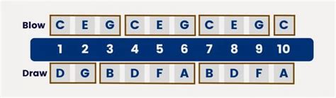 Learn C Harmonica Notes An Easy 5 Min Beginner S Guide