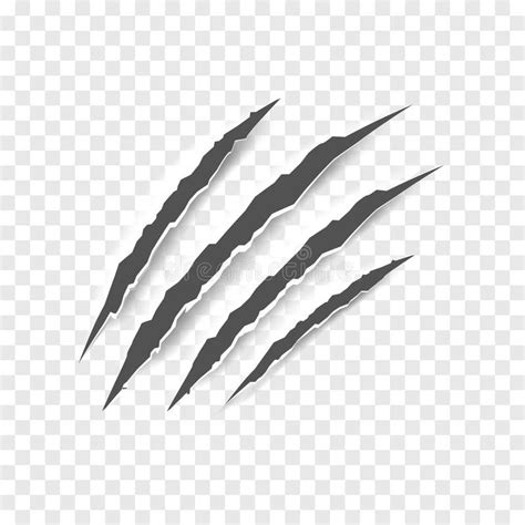 Black Claw Scratches Vector Isolated Claws Scratches Animal Claw Tracks Cat Or Tiger Bear Or