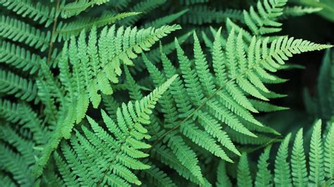 ‎ליהי קורן כהן איפור And ליהי קורן כהן איפור And שיער