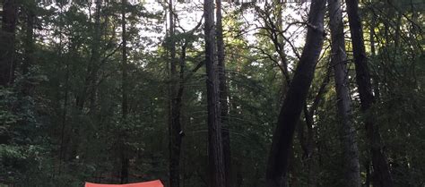 Experience Serenity At Bullfrog Pond Campground