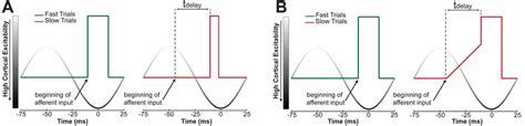 Alpha Oscillations Rhythmically Modulate Broadband Gamma Download Scientific Diagram