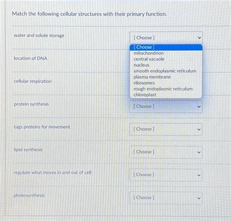 Solved Match The Following Cellular Structures With Their