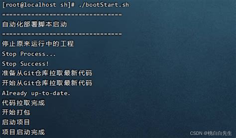 通过shell脚本自动部署项目 若依如何通过shell脚本实现自动化部署 csdn博客