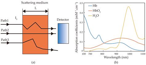 Biosensors Free Full Text A Smartphone Based Biosensor For Non Invasive Monitoring Of Total