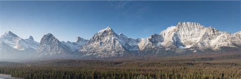 Emergent Consulting Linkedin