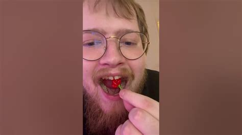 Teddys Video 😜😜😜 Youtube