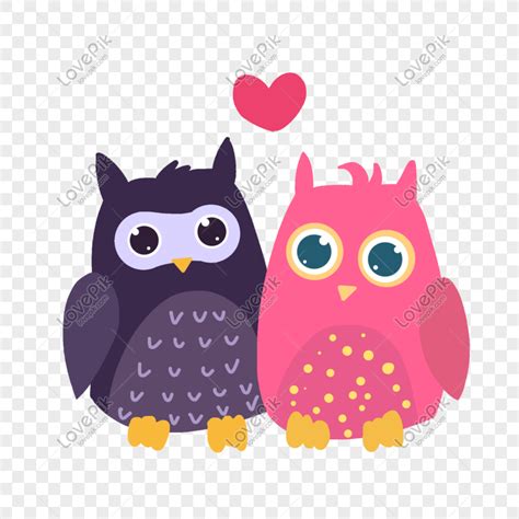 손으로 그린 귀여운 올빼미 그림 이미지 사진 611637001 무료 다운로드