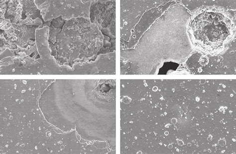Surface Micrographs Of The Specimens After Polarization Tests In 35