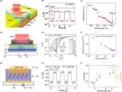 Ferroelectric Field Effect Transistors For Electronics And