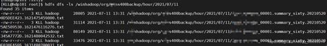 【hadoop】本地文件上传到hdfs 上传文件到hdfs csdn博客