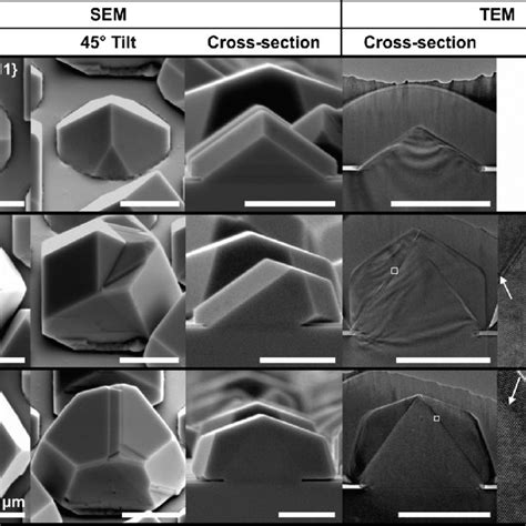 100 oriented microstructures a dominant pyramidal microstructures