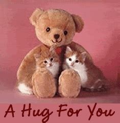 Cat Hug Teddy Bear 