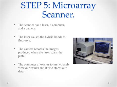 Dna Microarray Introdution And Application