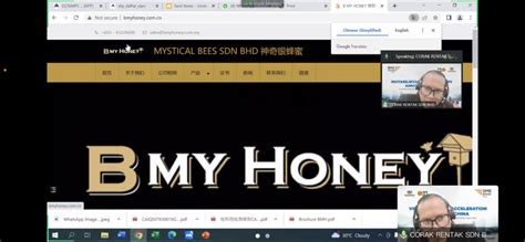 中海协与马来西亚驻华使馆举办商贸“一对一”洽谈会 本会动态 中国产业海外发展协会