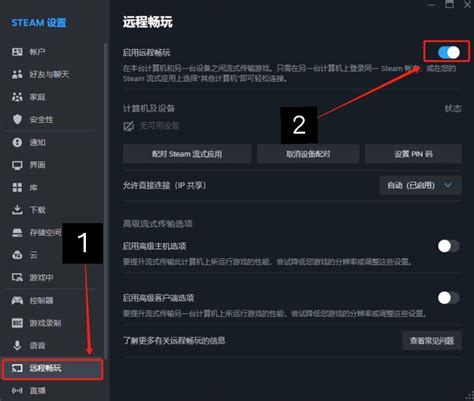 steam远程同乐常见问题：进入游戏后无反应，没有声音，没有远程同乐选项等解决指南分享 gi加速器