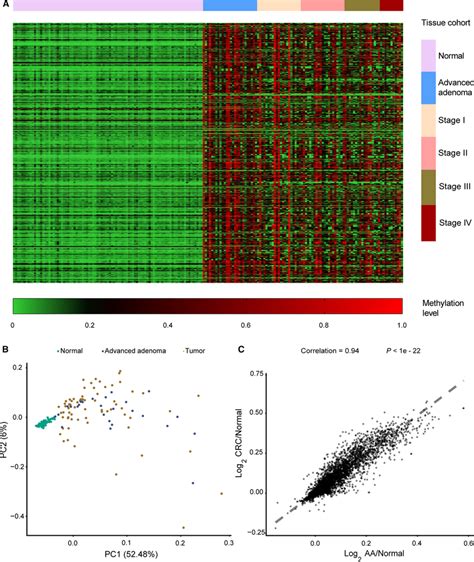 Characterization Of The Tissue Dna Methylation Landscape A Download Scientific Diagram