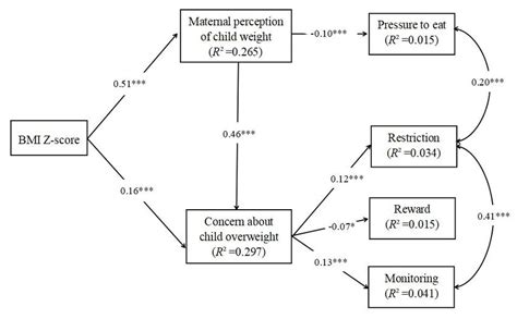 Final Model Of The Relationships Between The Study Variables Download
