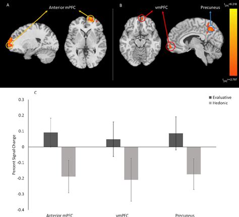 Anterior Prefrontal And Precuneus Activation During Evaluative