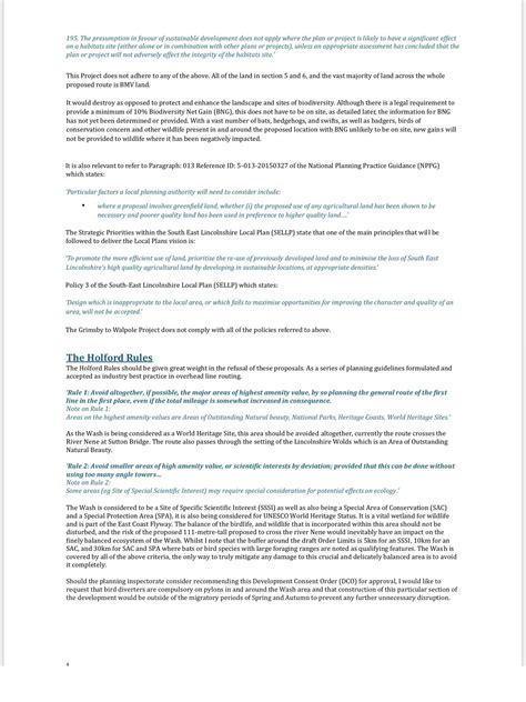 Cllr Laura Eldridge The Saints