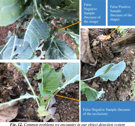 Figure 1 From REAL TIME PEST DETECTION USING YOLOv5 Semantic Scholar