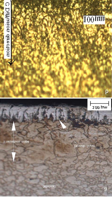 Optical Micrograph Of Cross Section Of Aisi 8620 Steels A Boronized
