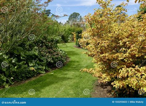 Grass Garden Path In Spring Stock Image Image Of Spring Trees 103293603