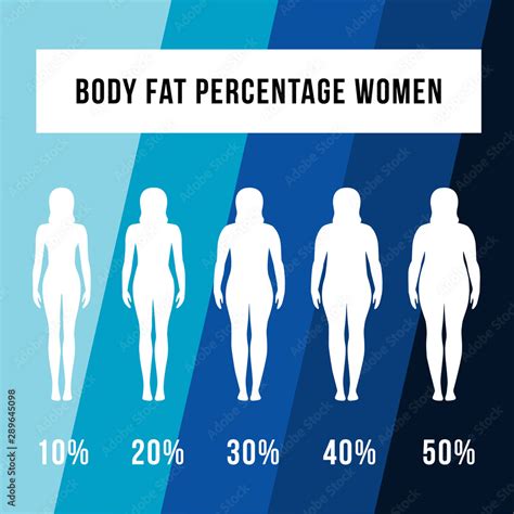Body Fat Percentage Woman Designs Concept Vector Woman Diets And