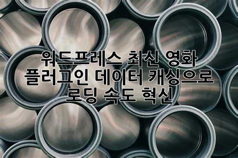🚀 워드프레스 최신 영화 플러그인 데이터 캐싱으로 로딩 속도 혁신