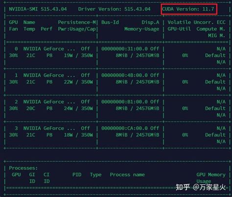 docker pytorch 环境配置 知乎