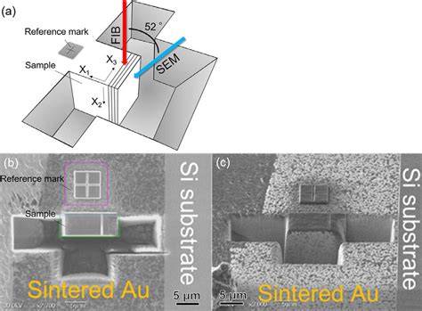 A Schematic Image Of Fib Sem System B Fib Image And C Sem Image Download Scientific