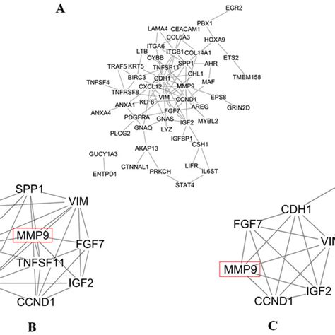 Molecular Docking Conformations Generated By Pymol Visualizing Download Scientific Diagram
