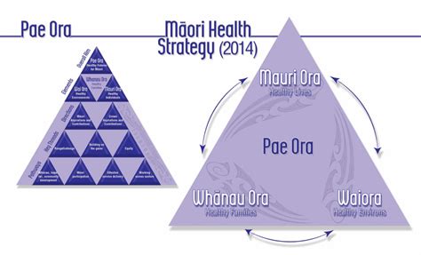 Wellness Oranga Centre Of Māori Suicide Prevention
