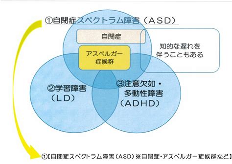 自閉症スペクトラム 連続体 自閉症連続体の時代 Upmgxb