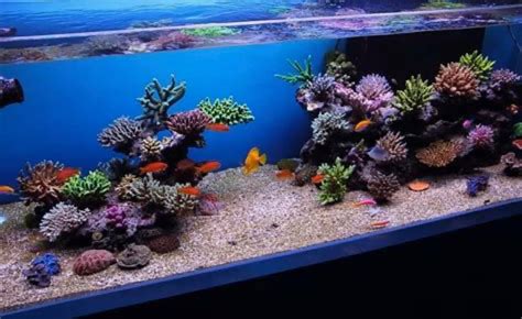 ปะการังเทียม หินเทียม วัสดุเรซิ่น งานปั้นโมเดลไฟเบอร์กล๊าส ตกแต่งตู้ปลา อควาเลี่ยม พิพิธพันธ์