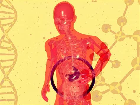 Most Common Liver Abnormalities How To Recognize And Test For Liver Problems