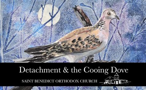 Detachment And The Cooing Dove