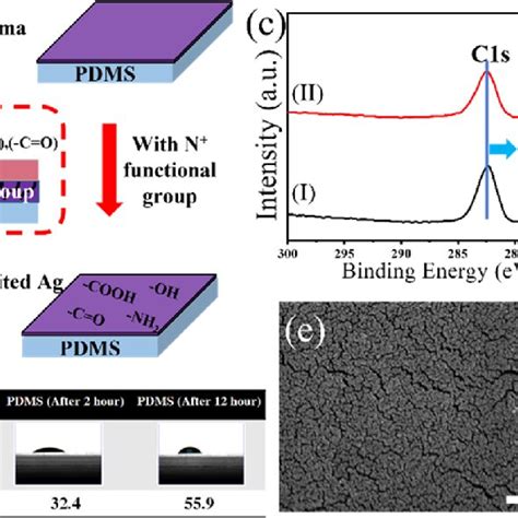 A Schematic Representation Of The Surface Modification Of The