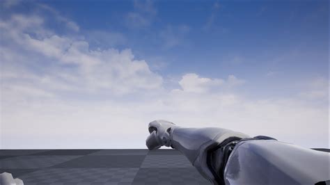 LEAKED GAME ASSETS First Person Combat Fists