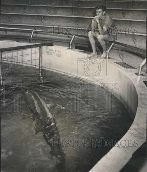 Tommy Brz Captive Cetaceans Wiki Fandom Tommy Brz Captive Cetaceans Wiki Fandom