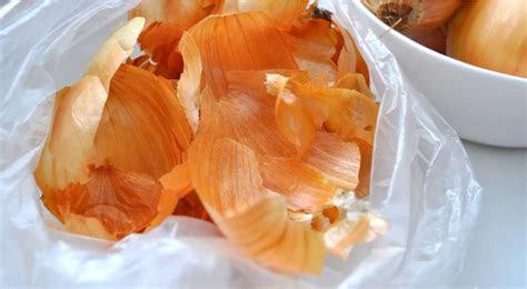 Луковая шелуха как удобрение для полива комнатных цветов и борьбы с вредителями Антонов сад