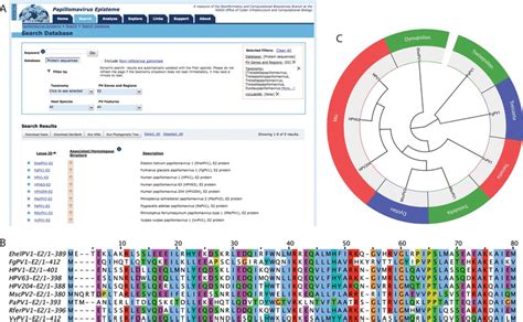 Integrated Calculation Of Multiple Sequence Alignments And Phylogenetic